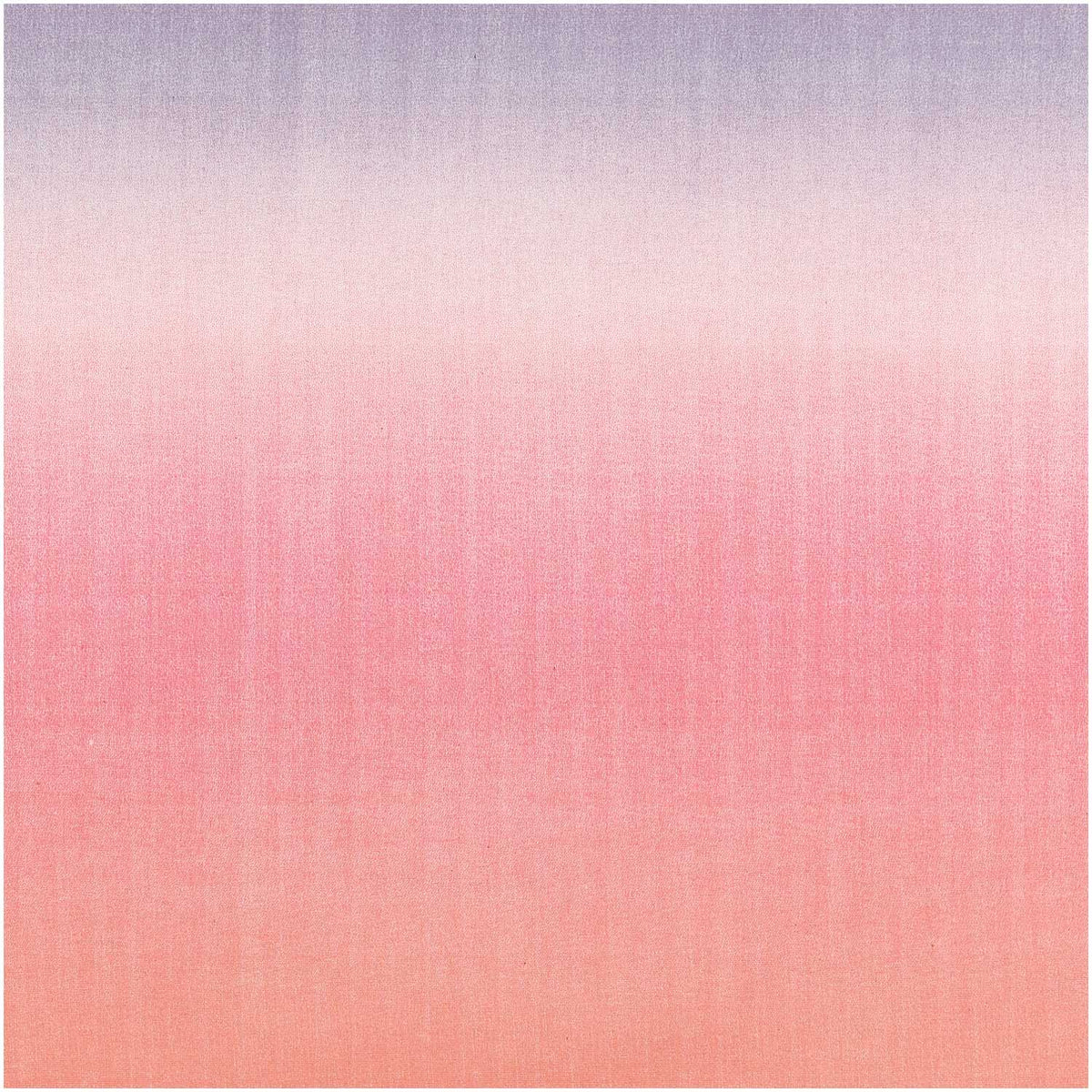 Rose Colour Gradient, Rico